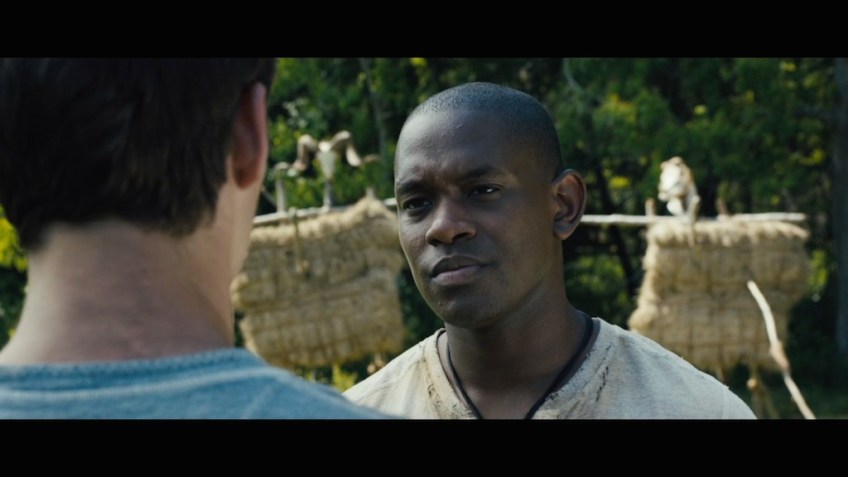 Maze Runner Alby